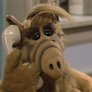 ALF: Season 3, Episode 9 - Rotten Tomatoes