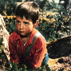 Pablito Calvo - Rotten Tomatoes