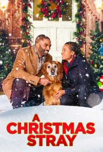A Christmas Stray | Rotten Tomatoes