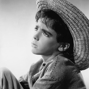 Michel Ray - Rotten Tomatoes