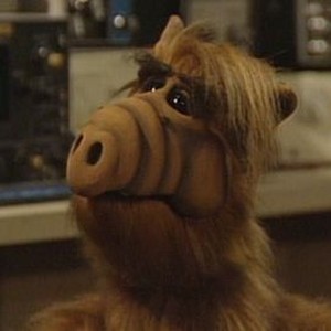 ALF: Season 2, Episode 1 - Rotten Tomatoes