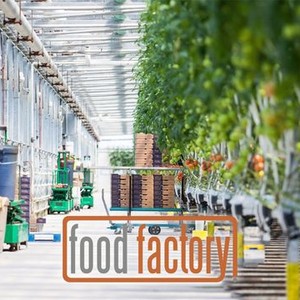Food Factory - Rotten Tomatoes