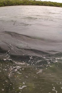 National Geographic's Strange Days on Planet Earth: Season 2, Episode 2 ...