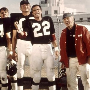 John Steadman - Rotten Tomatoes