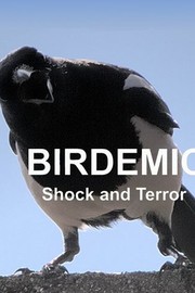 Birdemic: Shock And Terror - Movie Reviews