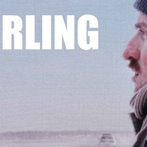 Curling - Rotten Tomatoes