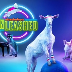 Unleashed - Rotten Tomatoes