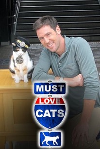 Must Love Cats | Rotten Tomatoes