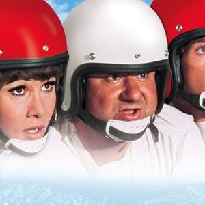 The Love Bug - Rotten Tomatoes