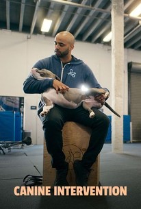 Canine Intervention: Season 1 | Rotten Tomatoes