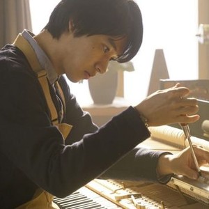 The Forest of Wool and Steel - Rotten Tomatoes