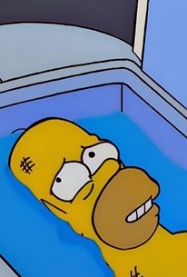 The Simpsons: Season 10, Episode 16 - Rotten Tomatoes