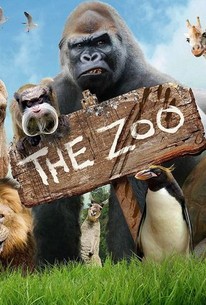 The Zoo: Season 1, Episode 5 | Rotten Tomatoes