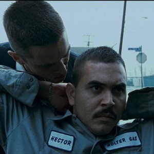 Harsh Times - Rotten Tomatoes