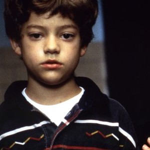 Silent Fall - Rotten Tomatoes