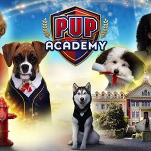 Pup Academy - Rotten Tomatoes
