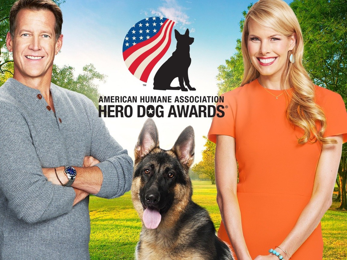 What Happens At The Hero Dog Awards