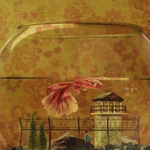 Guilty Party - Rotten Tomatoes