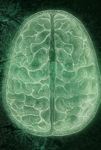 NOVA: Season 50, Episode 10 - Rotten Tomatoes