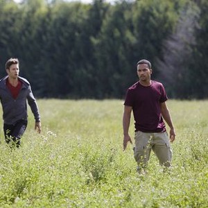 Bitten - Rotten Tomatoes