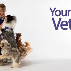 Young Vets - Rotten Tomatoes