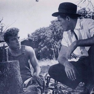 Come Next Spring - Rotten Tomatoes