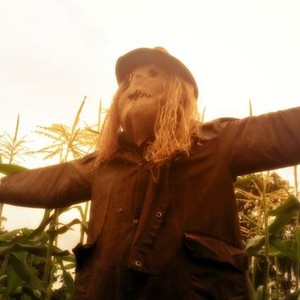 Apocalyptic Horror - Rotten Tomatoes