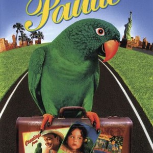 Paulie (1998) - Rotten Tomatoes