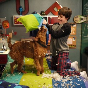 Firehouse Dog - Rotten Tomatoes