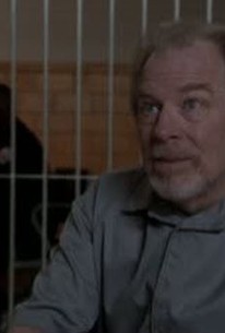 Law & Order: Special Victims Unit - Season 13 Episode 13 - Rotten Tomatoes