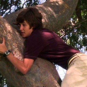 Shredderman Rules - Rotten Tomatoes