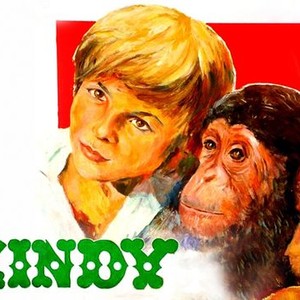 Zindy, el niño de los pantanos - Rotten Tomatoes