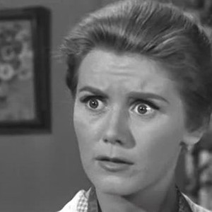 The Real McCoys: Season 3, Episode 32 - Rotten Tomatoes