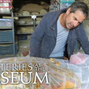 Mysteries at the Museum - Rotten Tomatoes