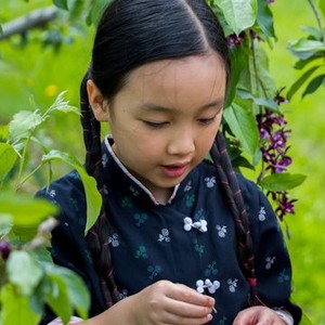 After Yang - Rotten Tomatoes