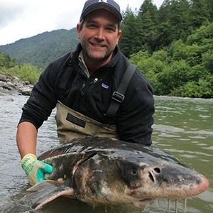 Zeb Hogan - Rotten Tomatoes