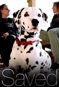 Saved (2011) | Rotten Tomatoes