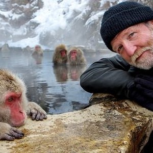 Monkey Planet - Rotten Tomatoes