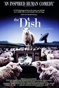 The Dish | Rotten Tomatoes