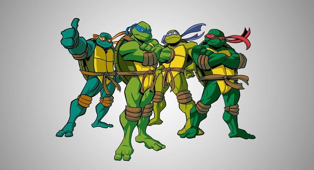 Teenage Mutant Ninja Turtles 2003 Cartoon Series