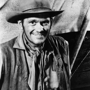 Dick York