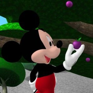 Mickey Mouse Clubhouse: Season 1, Episode 22 - Rotten Tomatoes