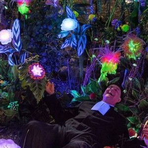 Forgotten Flowers - Rotten Tomatoes