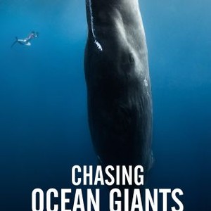 Chasing Ocean Giants - Rotten Tomatoes