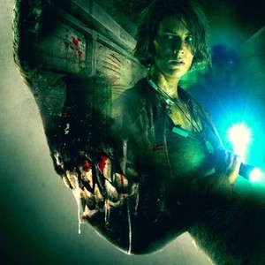 The Lair - Rotten Tomatoes