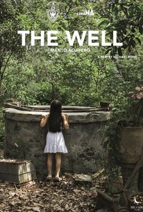 The Well (2013) | Rotten Tomatoes