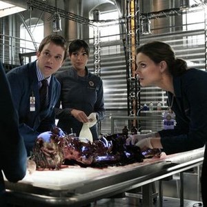 Bones: Season 2, Episode 20 - Rotten Tomatoes