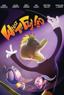 What's The Fly !? | Rotten Tomatoes