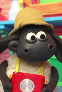 Timmy Time: Season 3, Episode 17 - Rotten Tomatoes