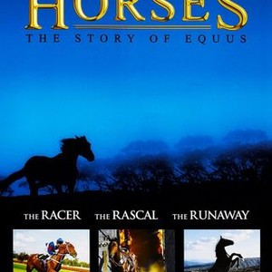Horses: The Story of Equus - Rotten Tomatoes